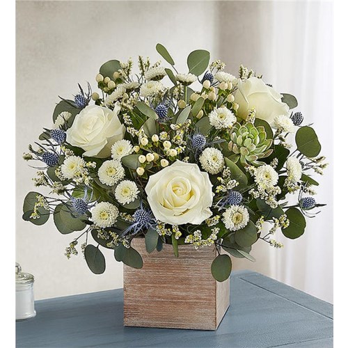 Conroy's Flowers Redondo Beach | Fresh Flowers & Gifts | Redondo Beach, CA